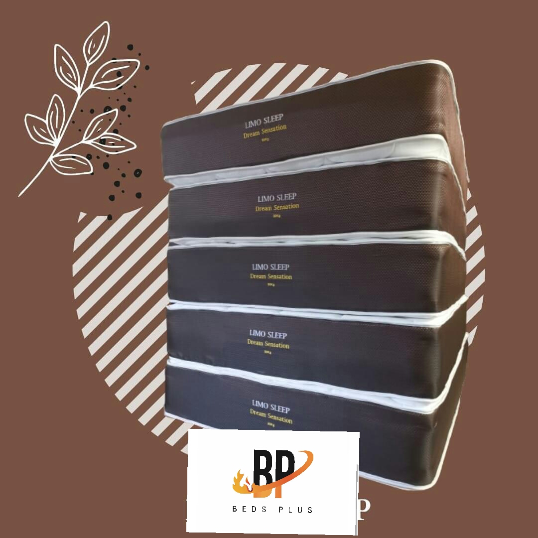 Limo sleep Pillow top beds- budget range - Beds Plus